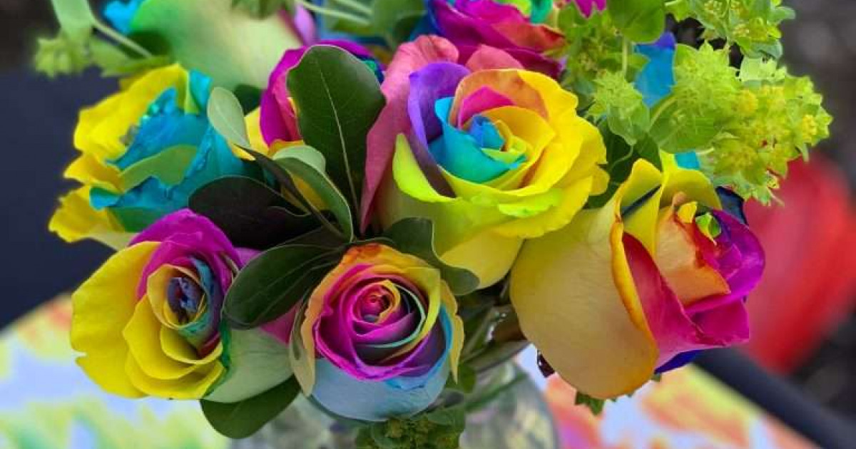 Scholarship - Joseph James Morelli Legacy Foundation