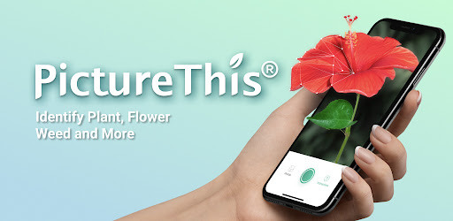 PictureThis - Plant Identifier - Apps on Google Play