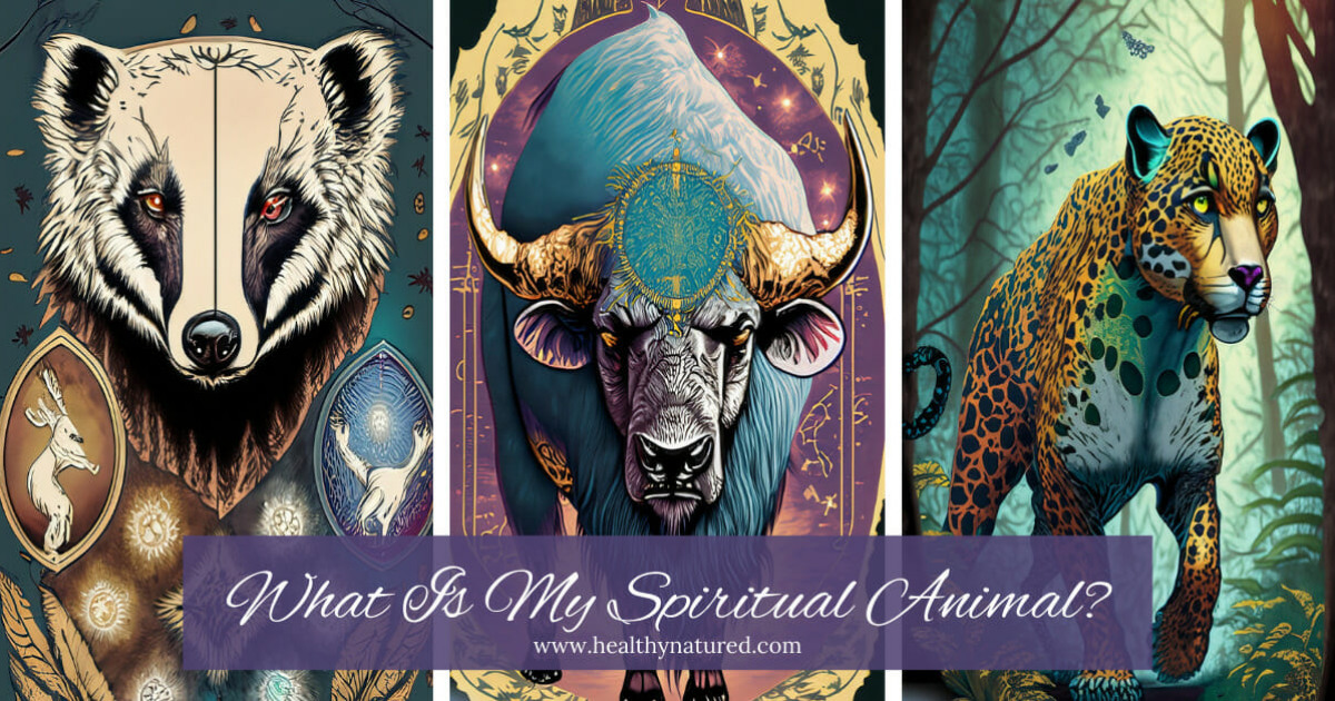 What Is My Spiritual Animal?
